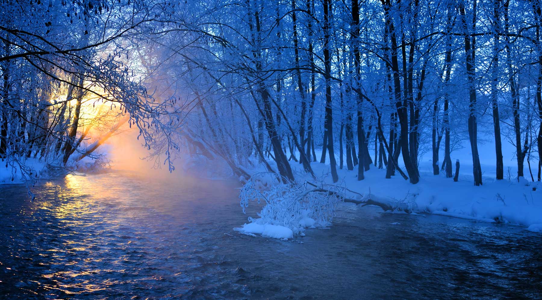 about-matt-hayes-main2 - matthayes.tv